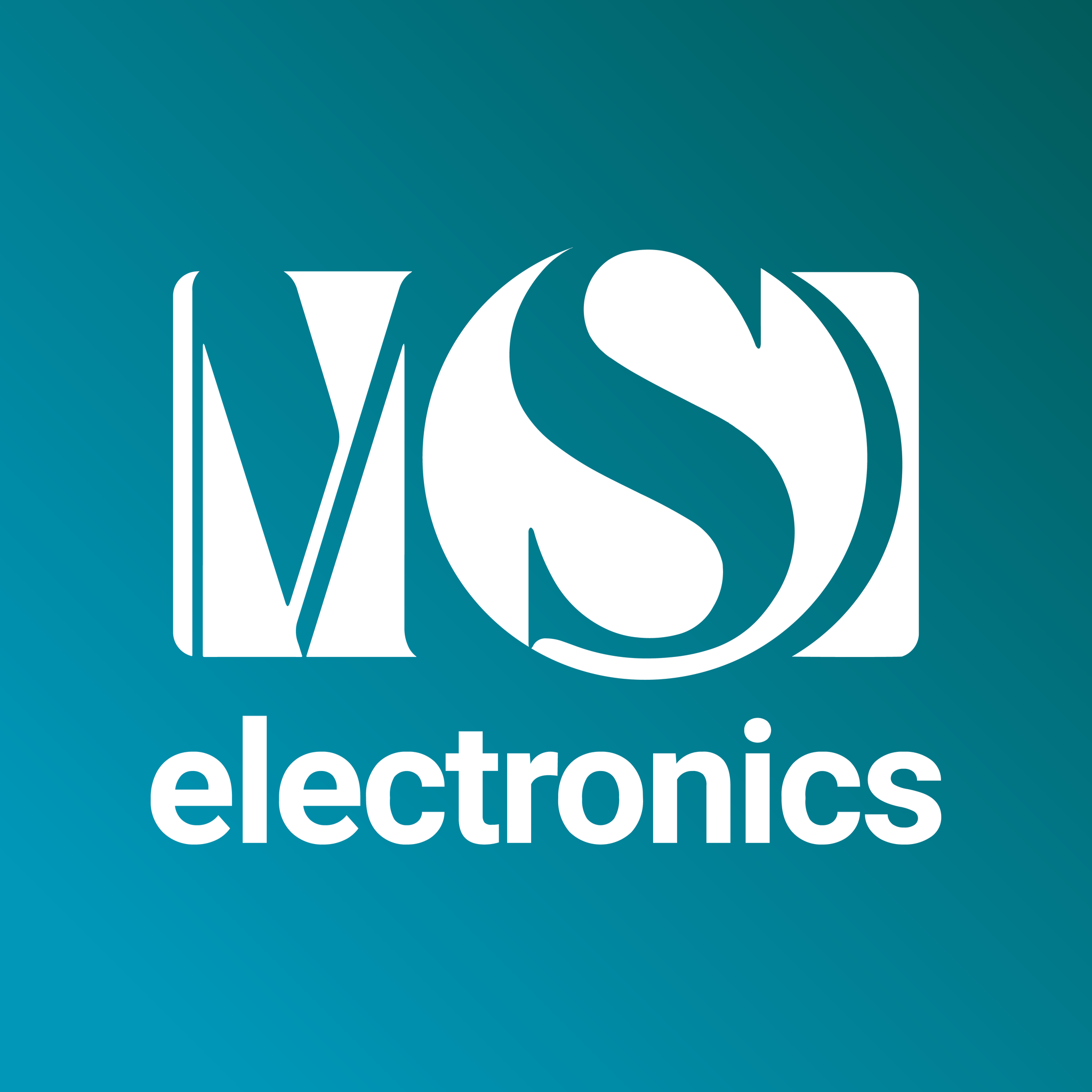 Warehouse Picker at MS ELECTRONICS LTD